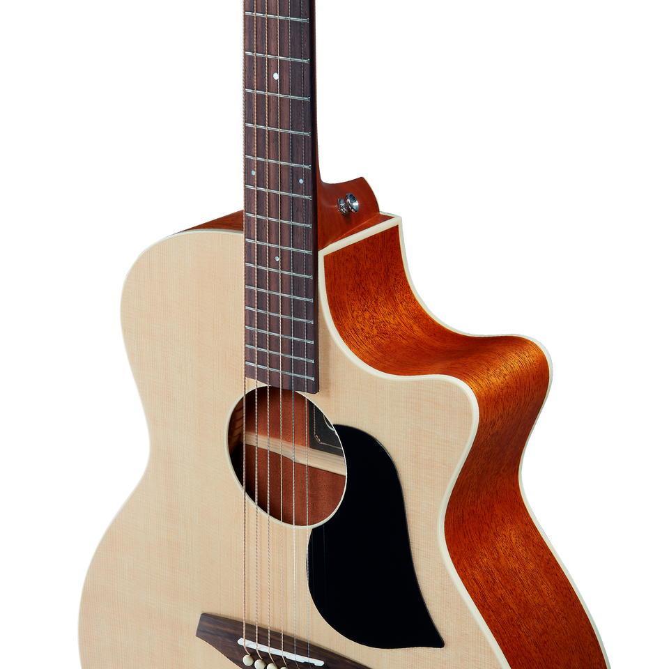 GA01 – SINGER GUITARS
